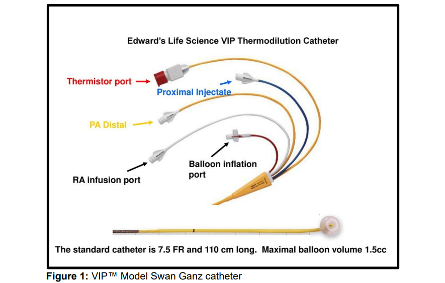 5 minutes Swan Ganz review – Code Team Pearls