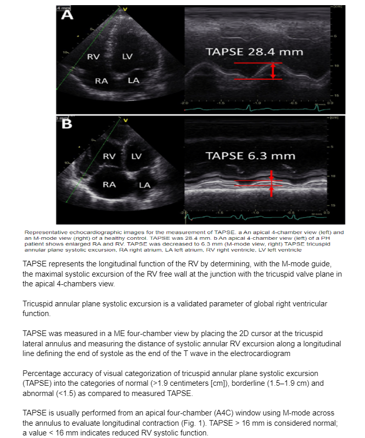Pocket guide – Code Team Pearls