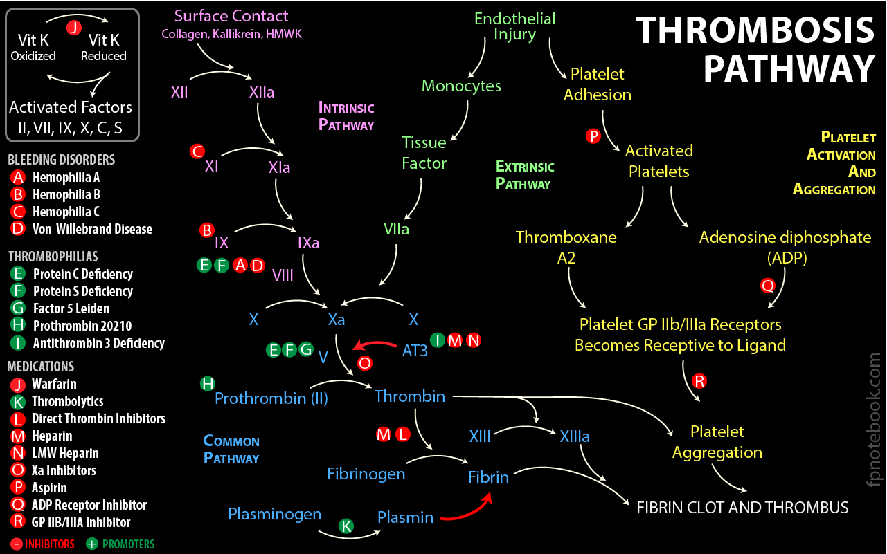 Pocket guide – Code Team Pearls